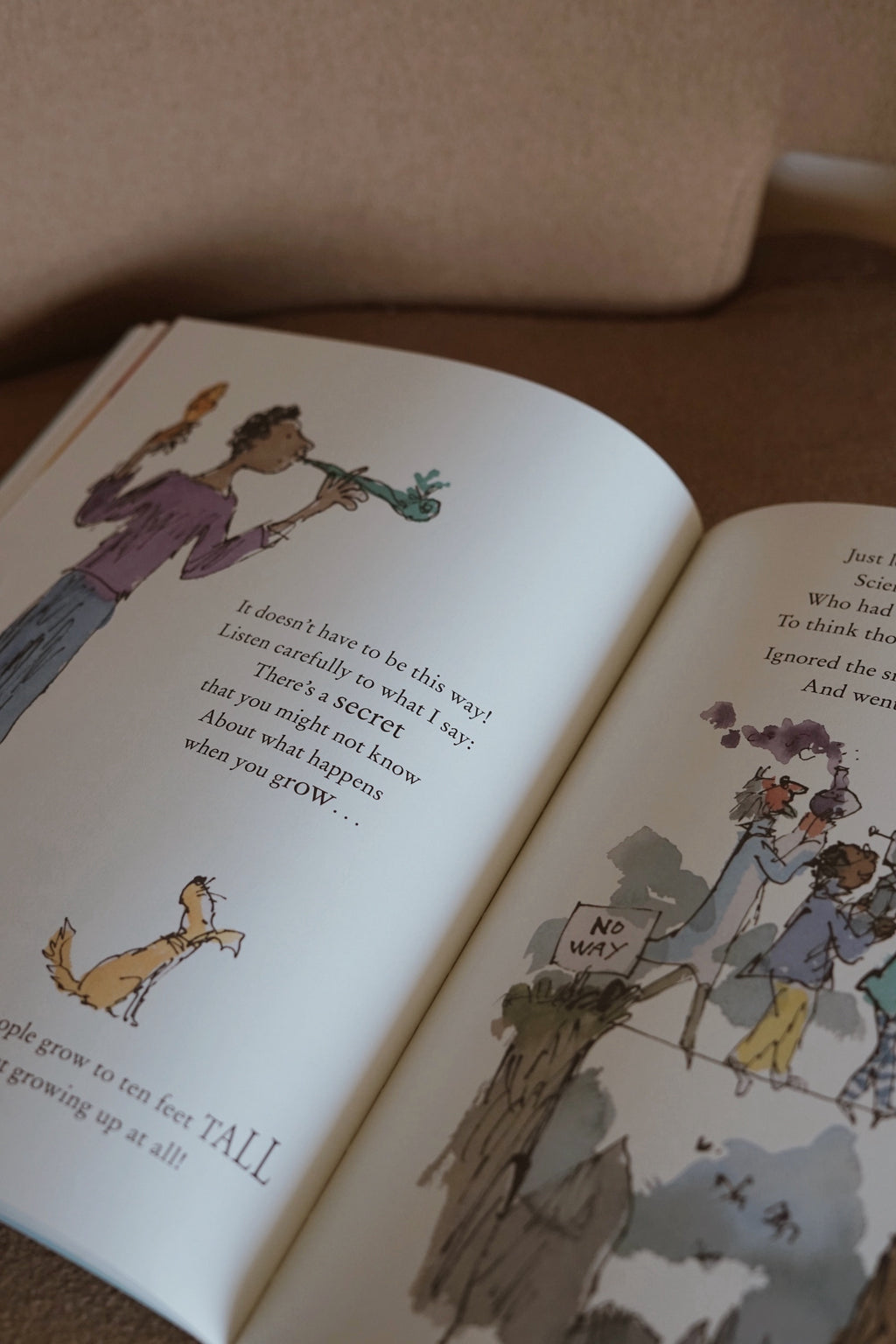 Never Grow Up by Al Blyth, Stella Gurney & Quentin Blake – A Greener Wood