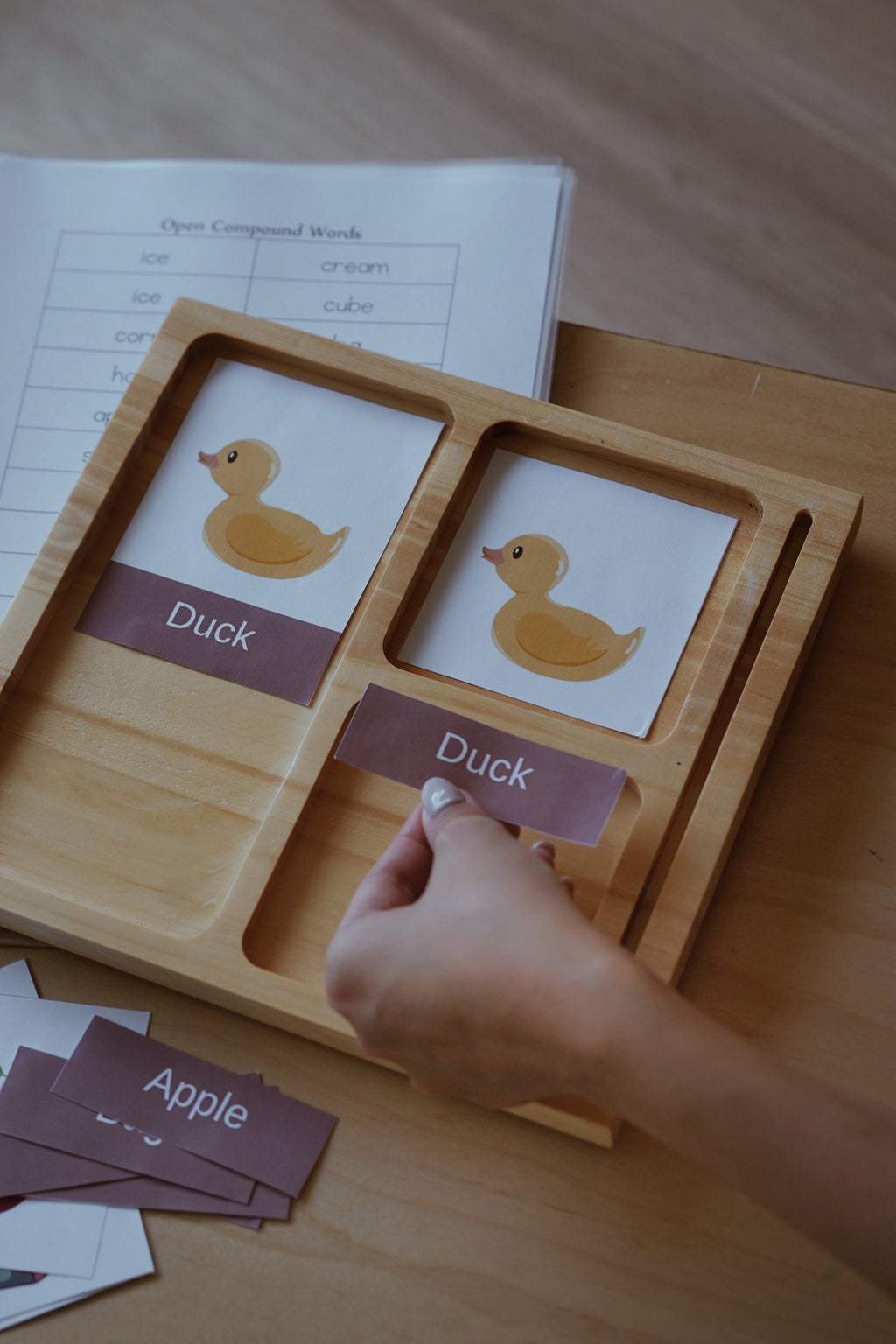 CVC / CCVC Tray Set with Activity Sheets – A Greener Wood