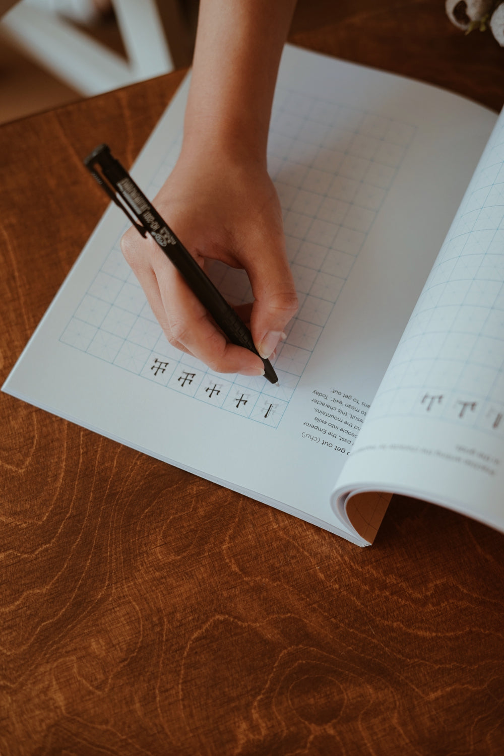 Chineasy™ Workbook – A Greener Wood